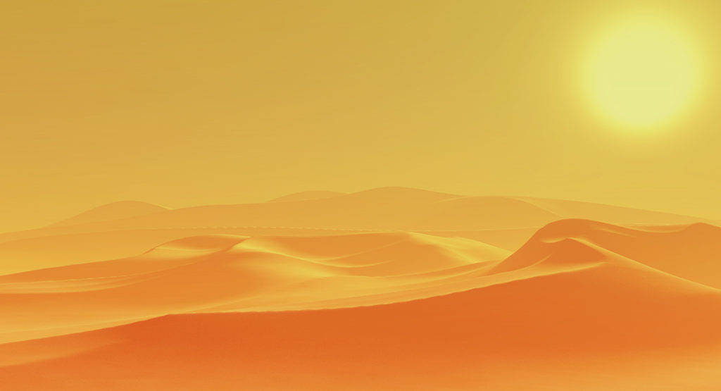 Sun in Mula ~ Break down the old and embrace the new