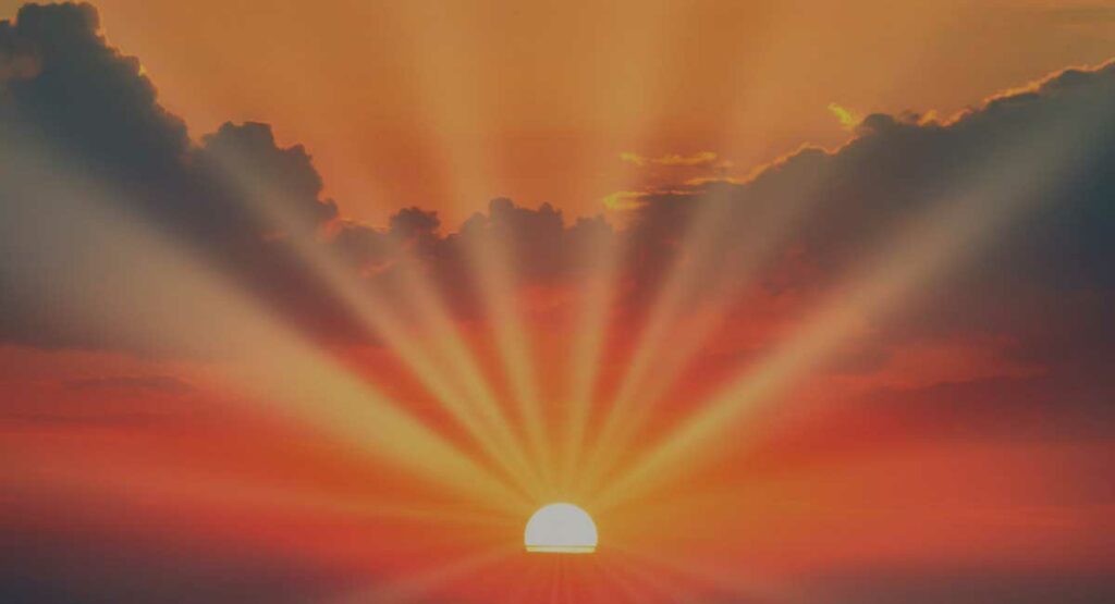 Sun in Rohini ~ Shine a light on your lifestyle